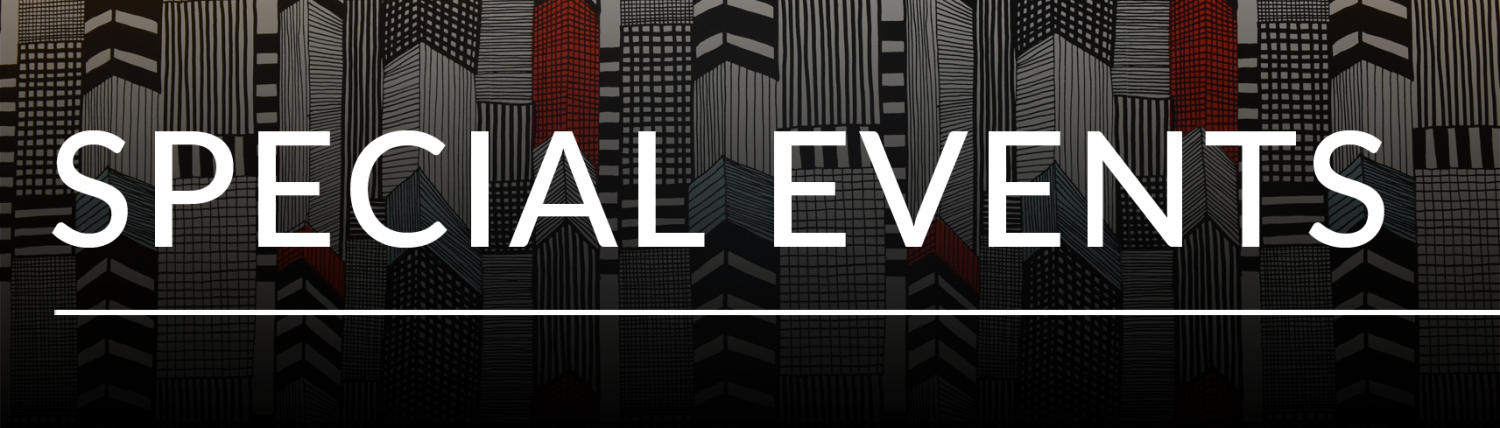 Sinead Lee Hair Design – Hair Design Galway City